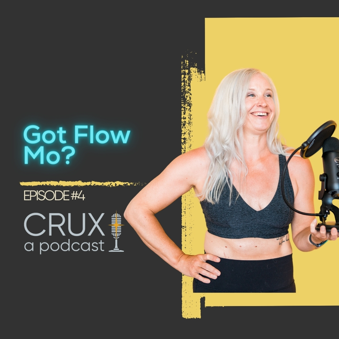 Crux Pod Episode #4: Secrets To Being a Better Aerial Coach